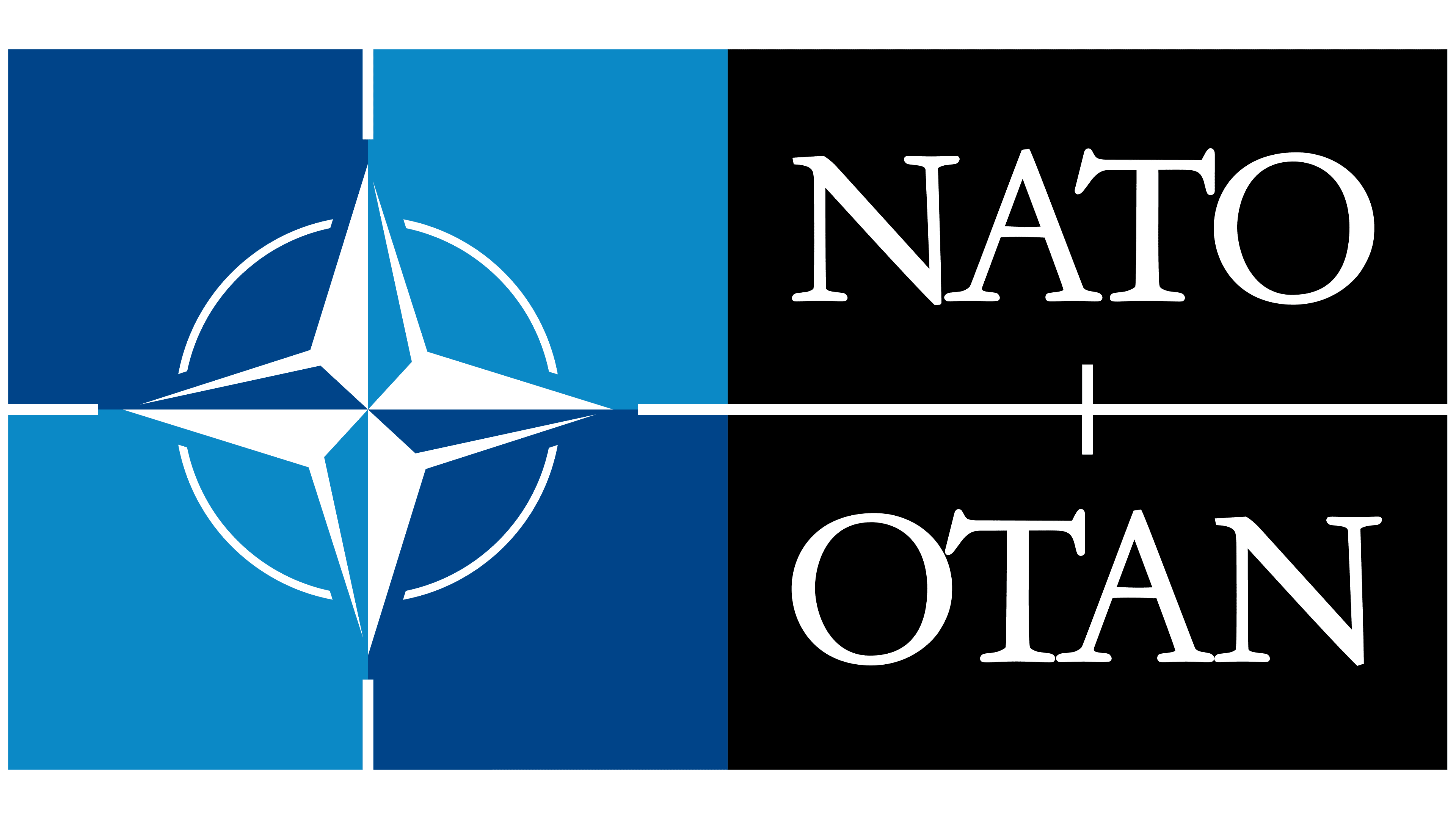 Reimagining NATO: Can Europe Stand Alone? – The Military Analyst